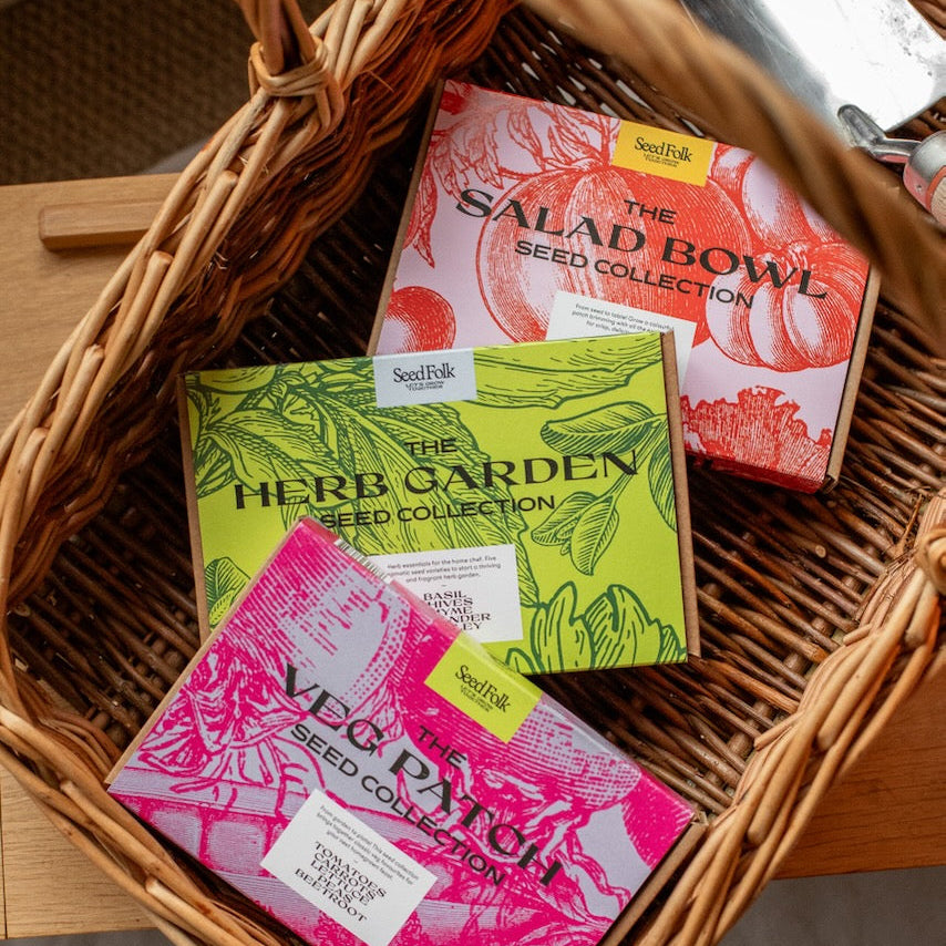 The Seed Collection Box – Seed Folk