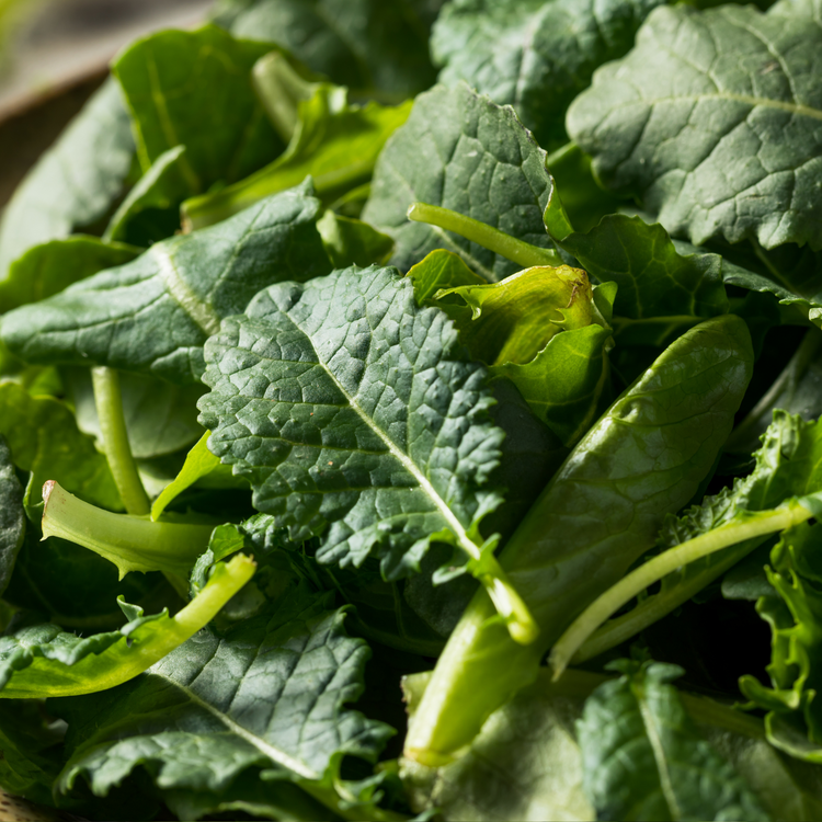 Seed Folk - Join our growing community today.