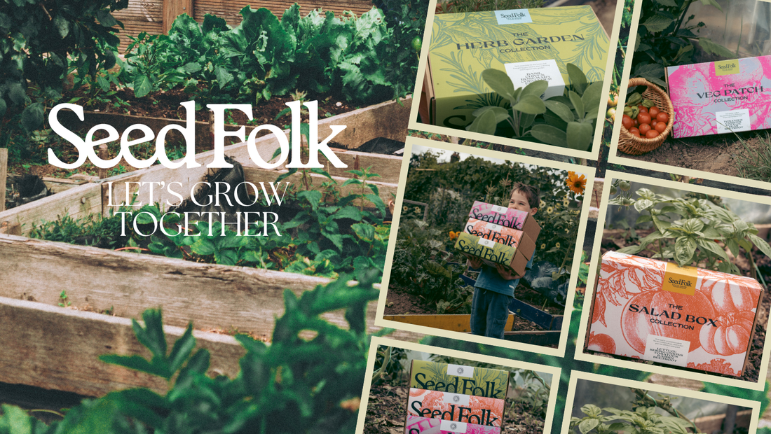 Introducing The Seed Collection Box – Seed Folk